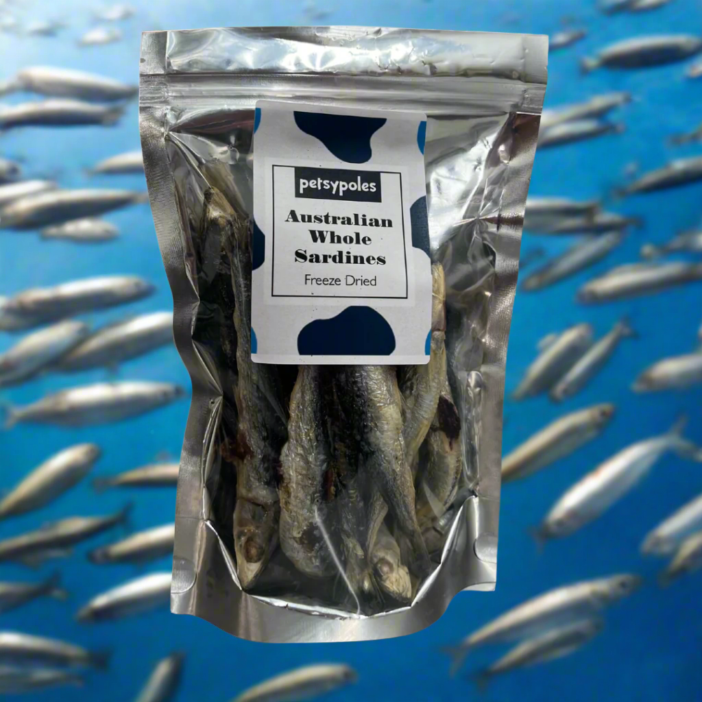 Freeze-Dried Human Grade Raw Large Sardines - Qty 12 per pack – Petsypoles